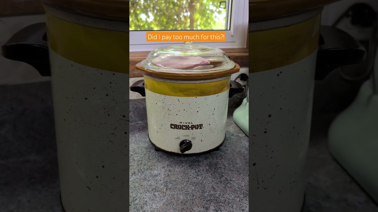 I paid $12.95 Canadian for this vintage Rival Crock-pot. was that too much?!