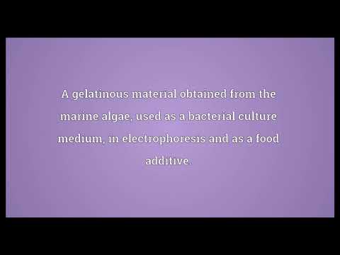 Agar Meaning