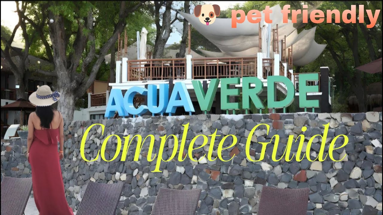 Acuaverde Beach Resort Review | Calm Beach Day, Christmas Vibes & Pet-Friendly Stay