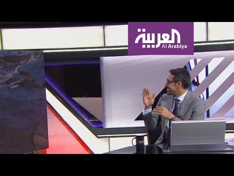 ما لا تعرفه عن خالد مدخلي .. من هو؟ سيرته الذاتية، إنجازاته وأقواله ...