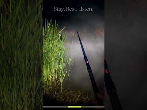 Night Float Fishing by the Lake – Crickets & Calm Sounds #shorts #calm #ambient