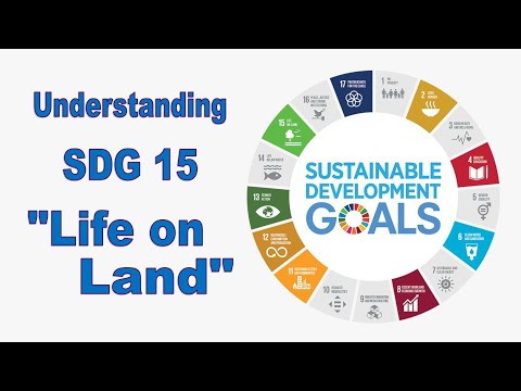 What is SDG 15? Life on Land