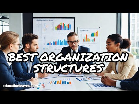 Types of Organizational Structure in management #organizationalstructure