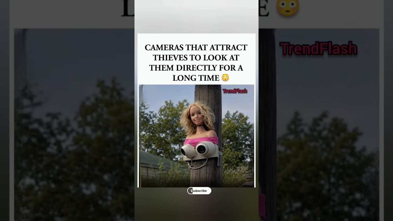 Cameras that make thieves expose themselves 👀📸 #security #cameras #technology