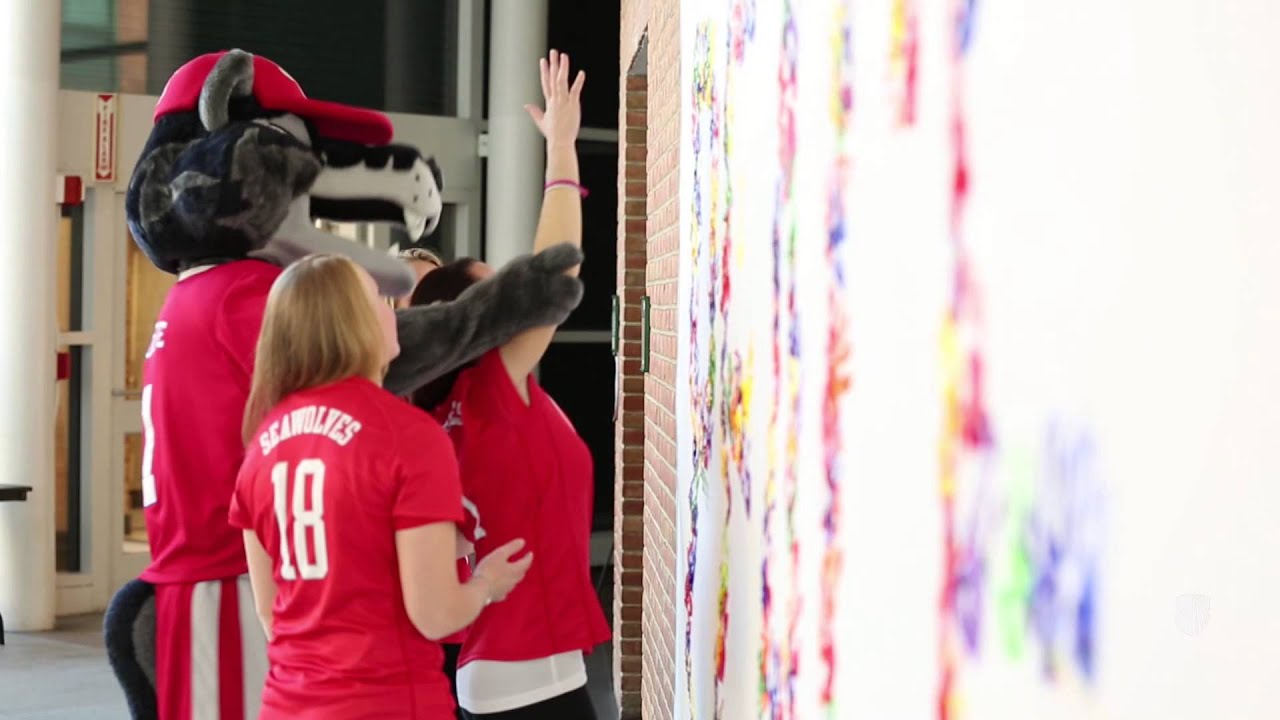 Stony Brook 2013 Holiday Video