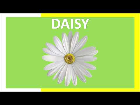 Flowers - Daisy, Orchid, Carnation | Learn Flowers with Repeat After Me | Kids Songs