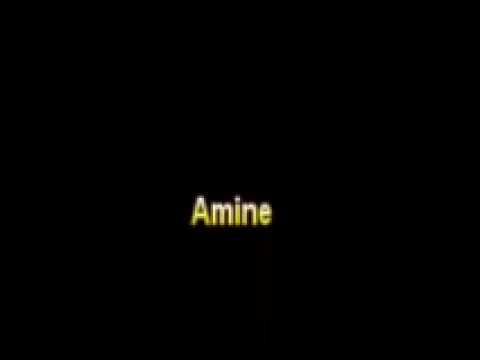 What Is The Definition Of Amine Medical Dictionary Free Online