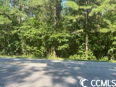 MYRTLE BEACH REAL ESTATE - TBD Highway 701 S Conway SC 29527 - CENTURY 21 Broadhurst