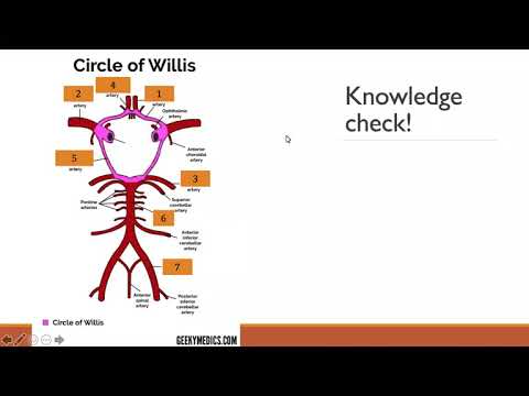 Online Tutorial | Stroke Syndromes | Neurology