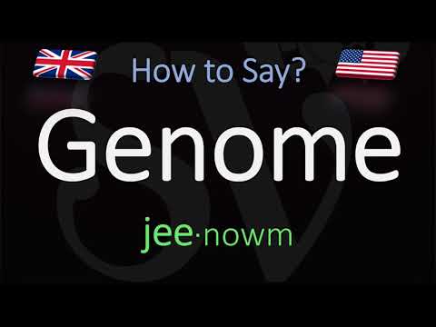 How to Pronounce Genome? (CORRECTLY) Meaning & Pronunciation