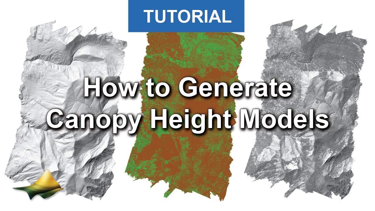 How to Generate Canopy Height Models On-Demand on OpenTopography