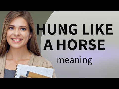 Understanding Idiomatic Expressions: "Hung like a horse"