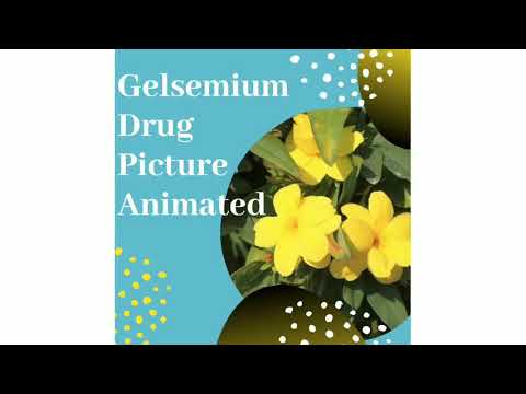 Gelsemium Drug picture animated