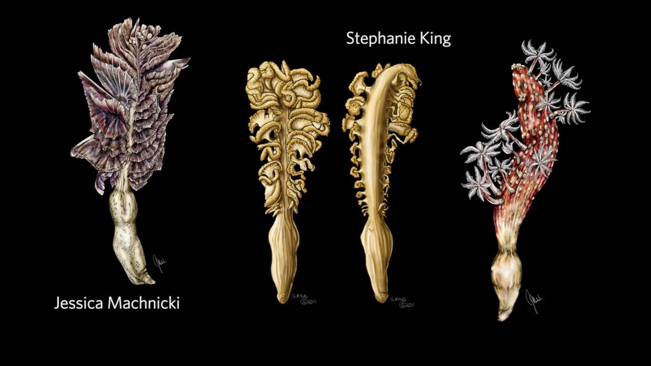 Science Today: The Intersection of Art and Science | California Academy of Sciences