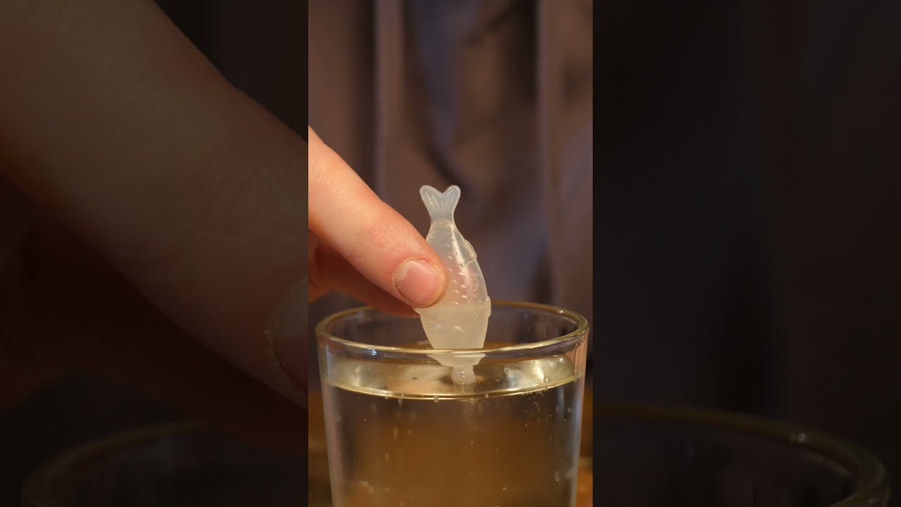 making a miniature terrarium in a soy sauce bottle