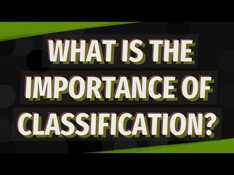 What is the importance of classification?
