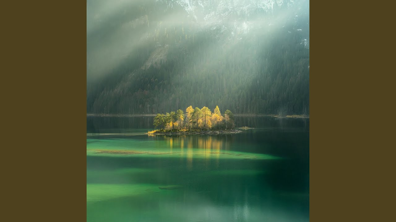 Where Light Rests
