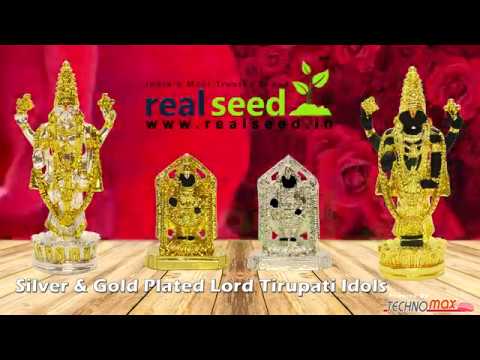 REAL SEED Plated Lord Venkateshvara, Balaji, Tirupati God Idol for Home Temple