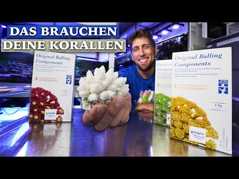 Die Balling-Methode + Versorgung für deine Korallen im Meerwasseraquarium