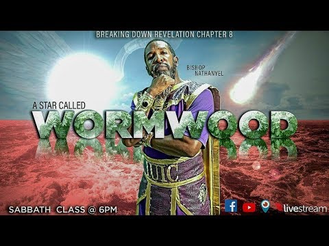 Revelation Chapter 8 (A Star Called Wormwood)
