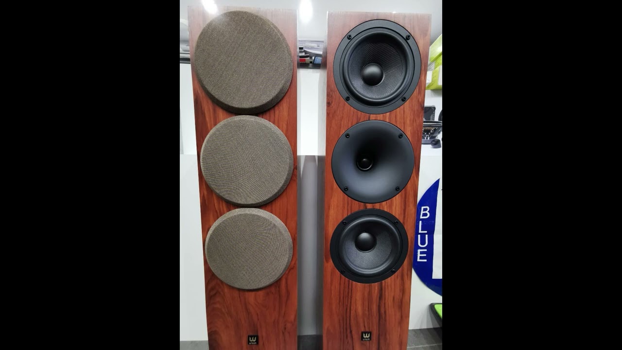 Wilson Studio 7