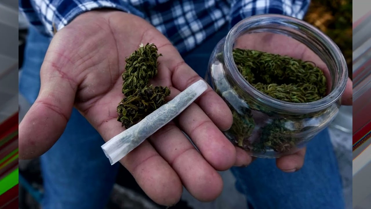 El consumo de cannabis de forma recreativa causa problemas entre los oaxaqueños