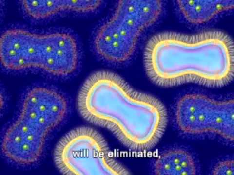 Animation of Antimicrobial Resistance