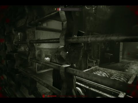 Steam Community :: Video :: The Outlast Trials Mother Gooseberry