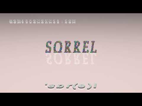 sorrel - pronunciation in British English (three voices / accents)