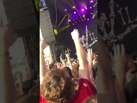 Red Roses - Lil Skies LIVE @ Lollapalooza 2019