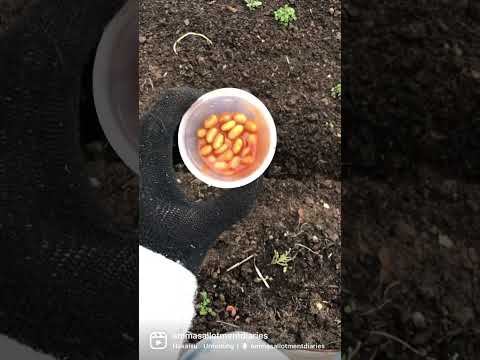 TRY GROWING THESE!