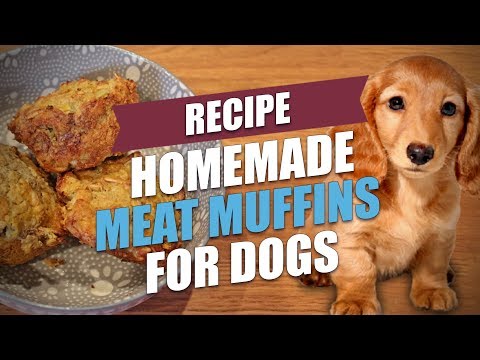 Homemade Meat Muffins for Dogs Recipe