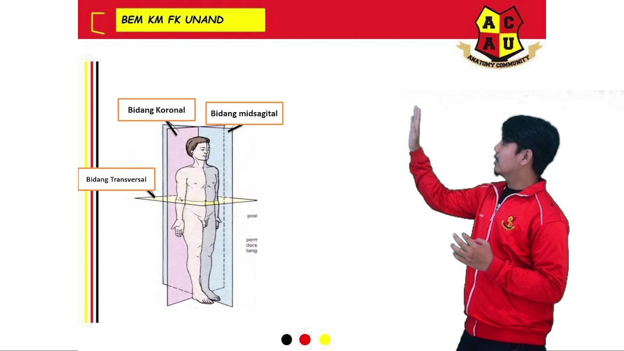 Pengenalan Dasar-Dasar Anatomi - Part 1 | Anatomy Video eps.01