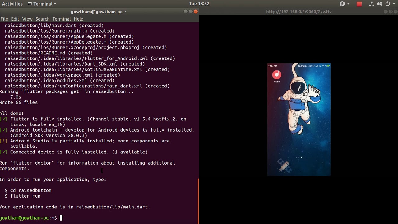 Flutter RaisedButton Simple Example