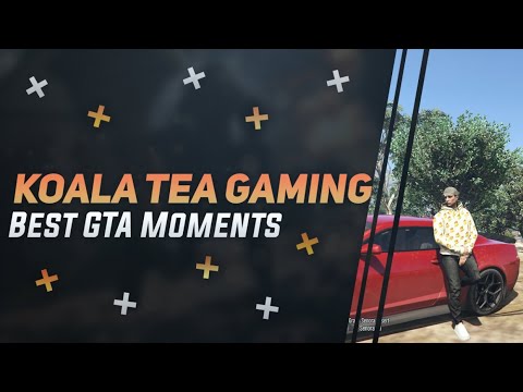 Steam Community :: Video :: Koala Tea Gaming Best Moments