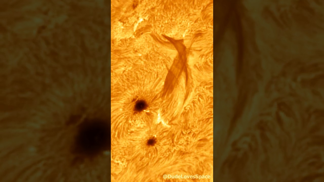 Incredible View of Sunspots & Filaments at AR4115! Captured with my Telescope #astronomy #space #sun