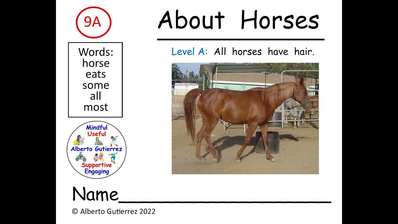 Read Aloud Video About Horses #9A