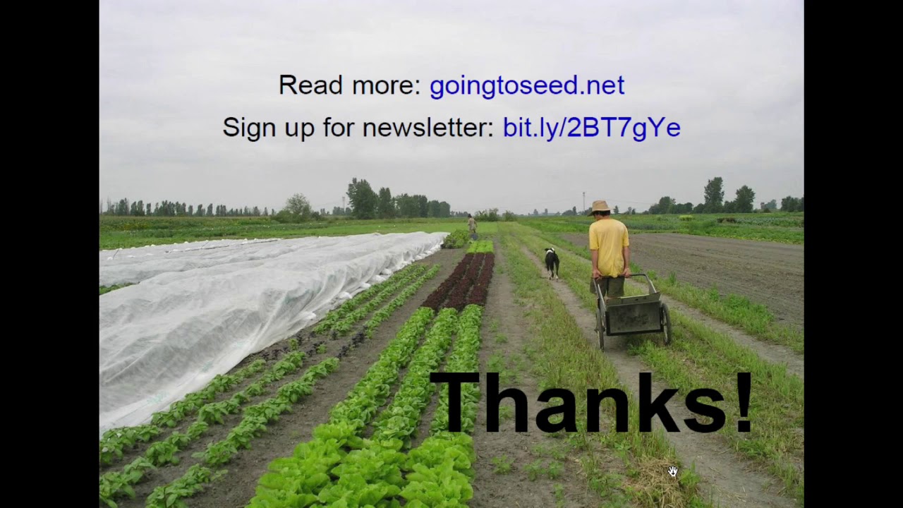 Crop Planning for Vegetable Growers Part 3