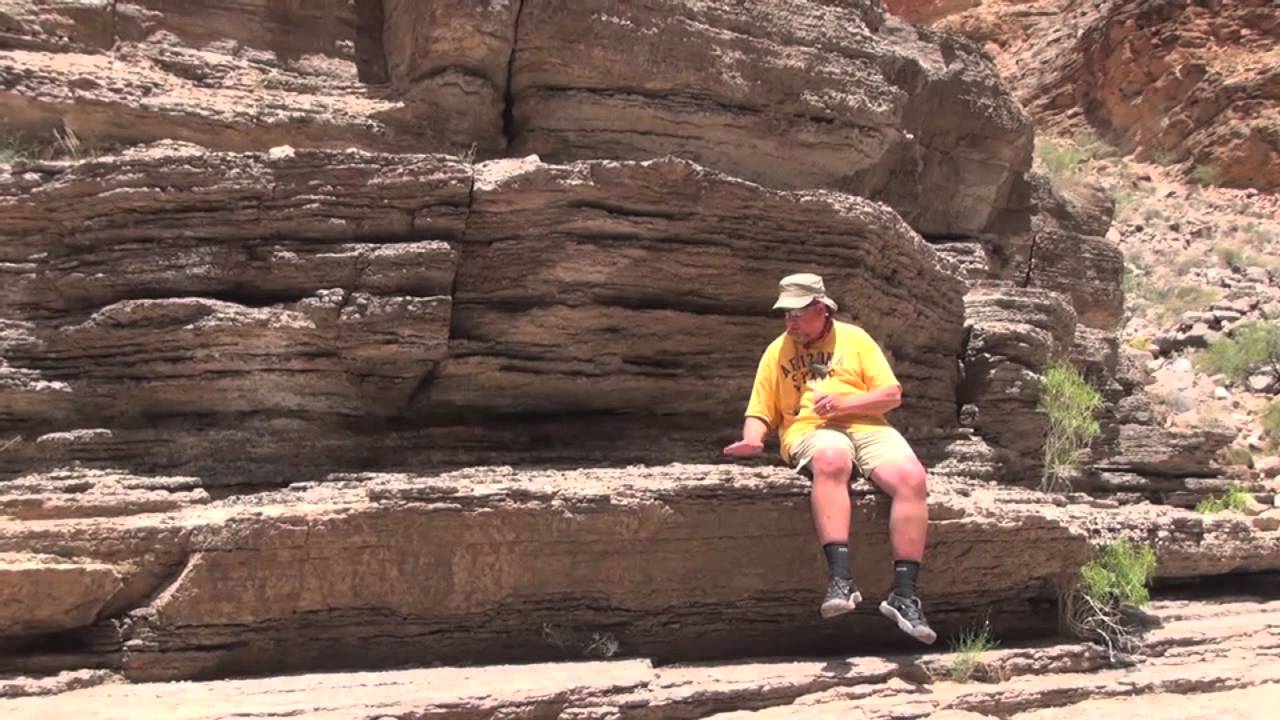 Limestone a carbonate sedimentary rock