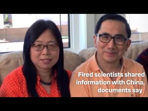 Fired scientists shared information with China, documents say