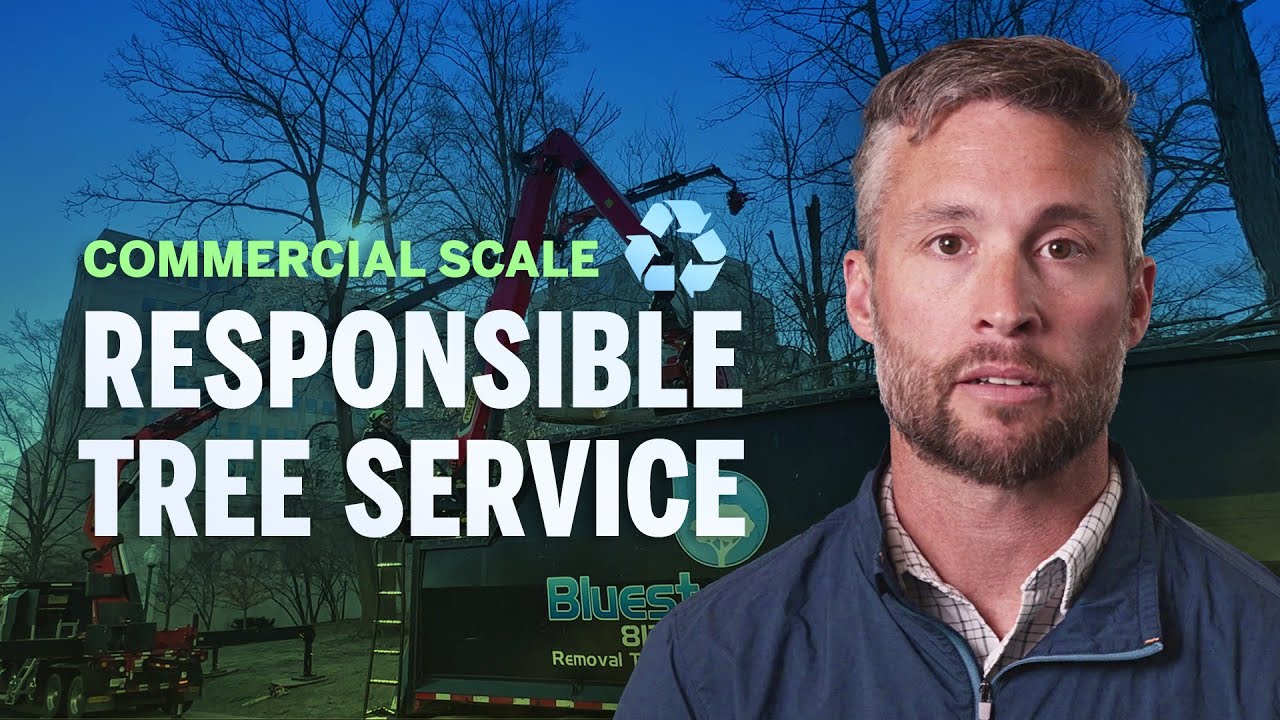 Bluestone Tree Commercial Tree Services