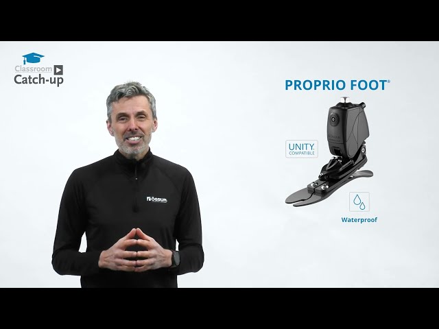 Prosthetics Foot - Pro Flex Pivot foot by Ossur Manufacturer from Bengaluru
