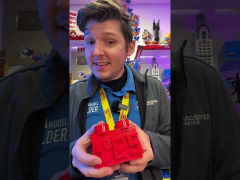 Become a Professional LEGO Builder!