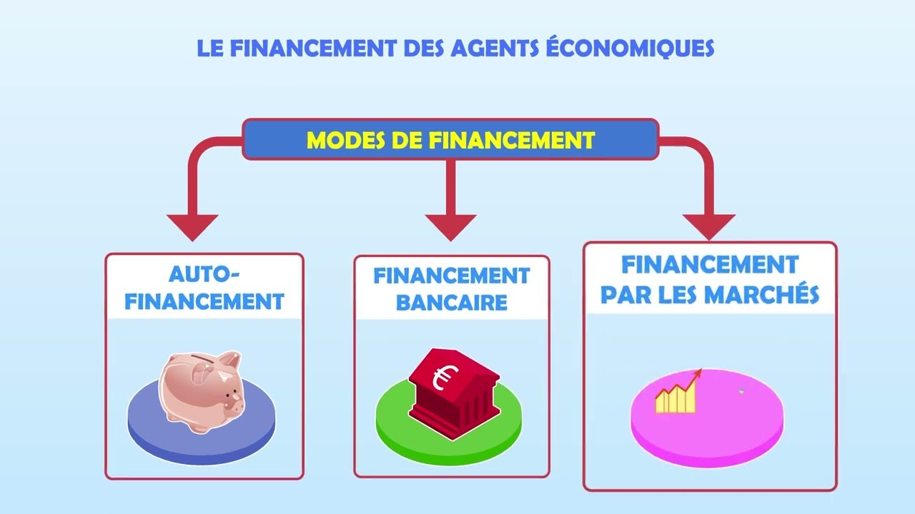 Understanding Economic Agents and Their Financing Needs | Galaxy.ai