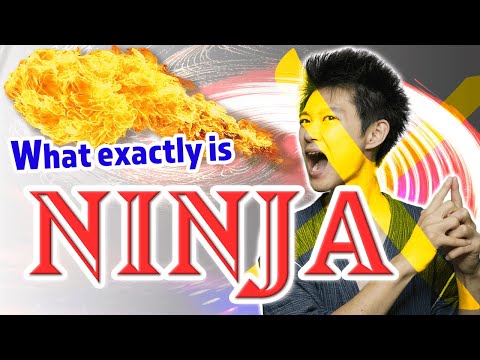 What exactly is Ninja ? The Real Mission of Ninja