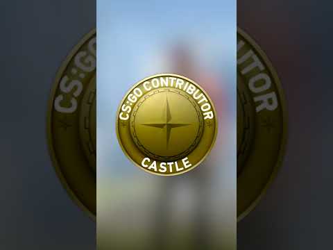 the RAREST csgo coin