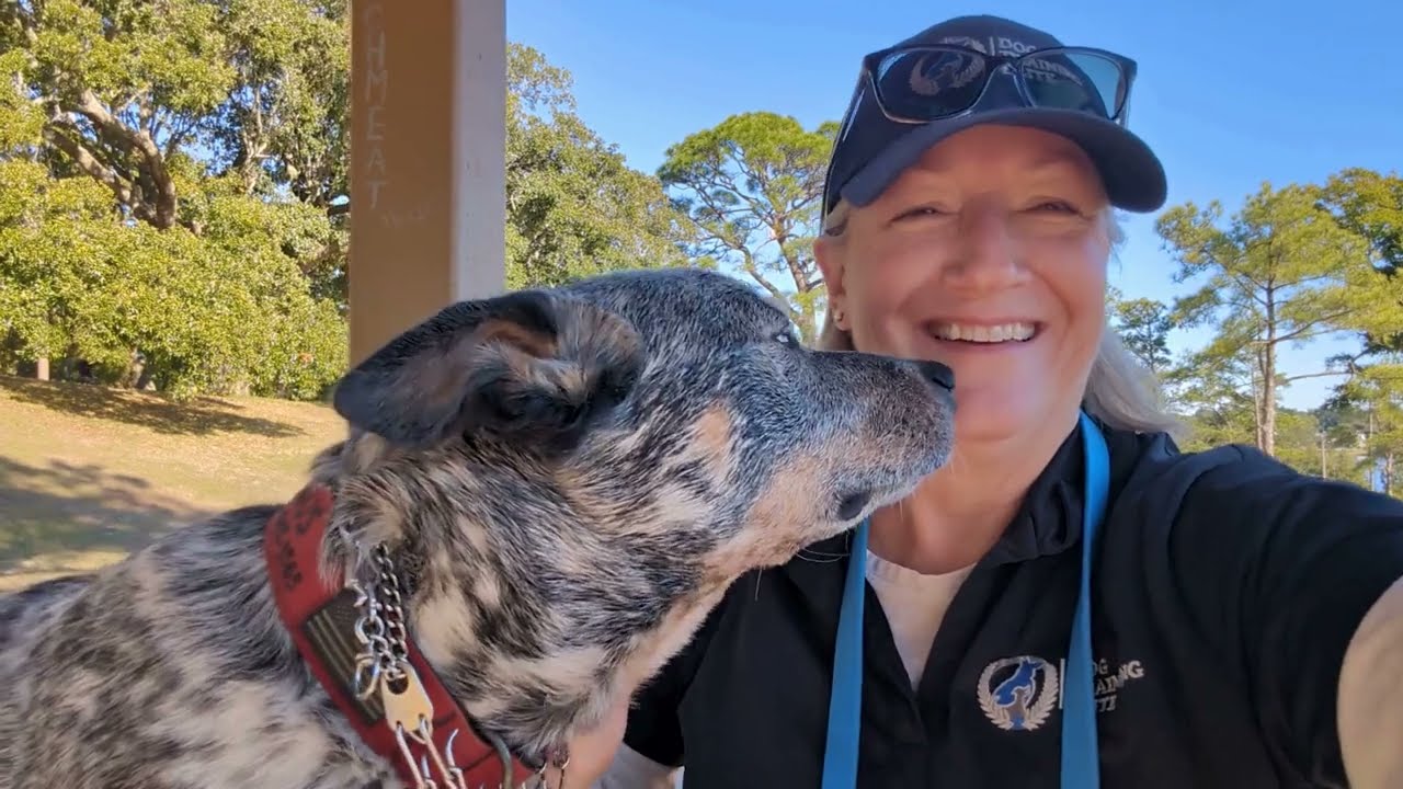 DTE Advanced Obedience Demonstration
