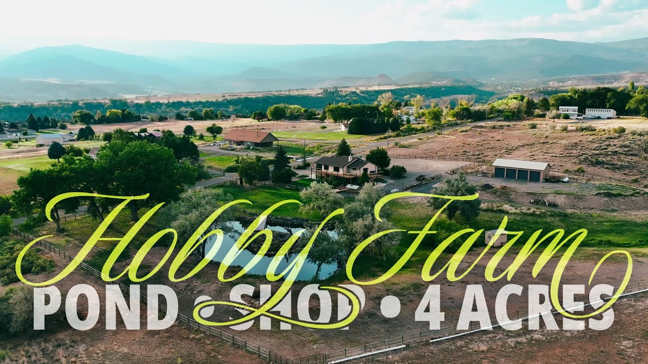 Colorado Hobby Farm for Sale | Pond, Shop, and 4 Acres on Bull Mesa in Cedaredge, CO