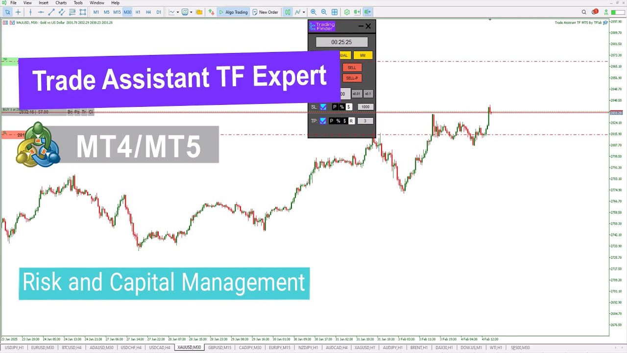 Comprehensive Guide to Using Trade Assist TF Expert for MetaTrader 4/5 | Galaxy.ai