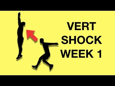 Vert Shock Program Exercises – What Are the Advantages? – vert shock ...